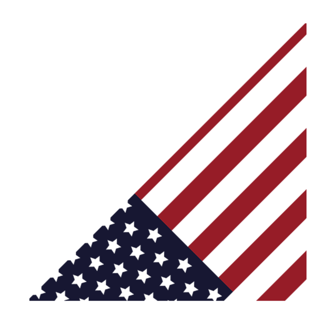 Healers Spot-Lite LED Flag Bandana - Find Pet Safety Products